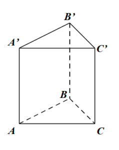 Calcul du volume d'un prisme droit en ligne -Calculateur N1
