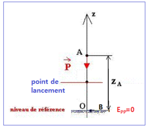 Calcul de l'énergie potentielle de pesanteur en ligne - 1